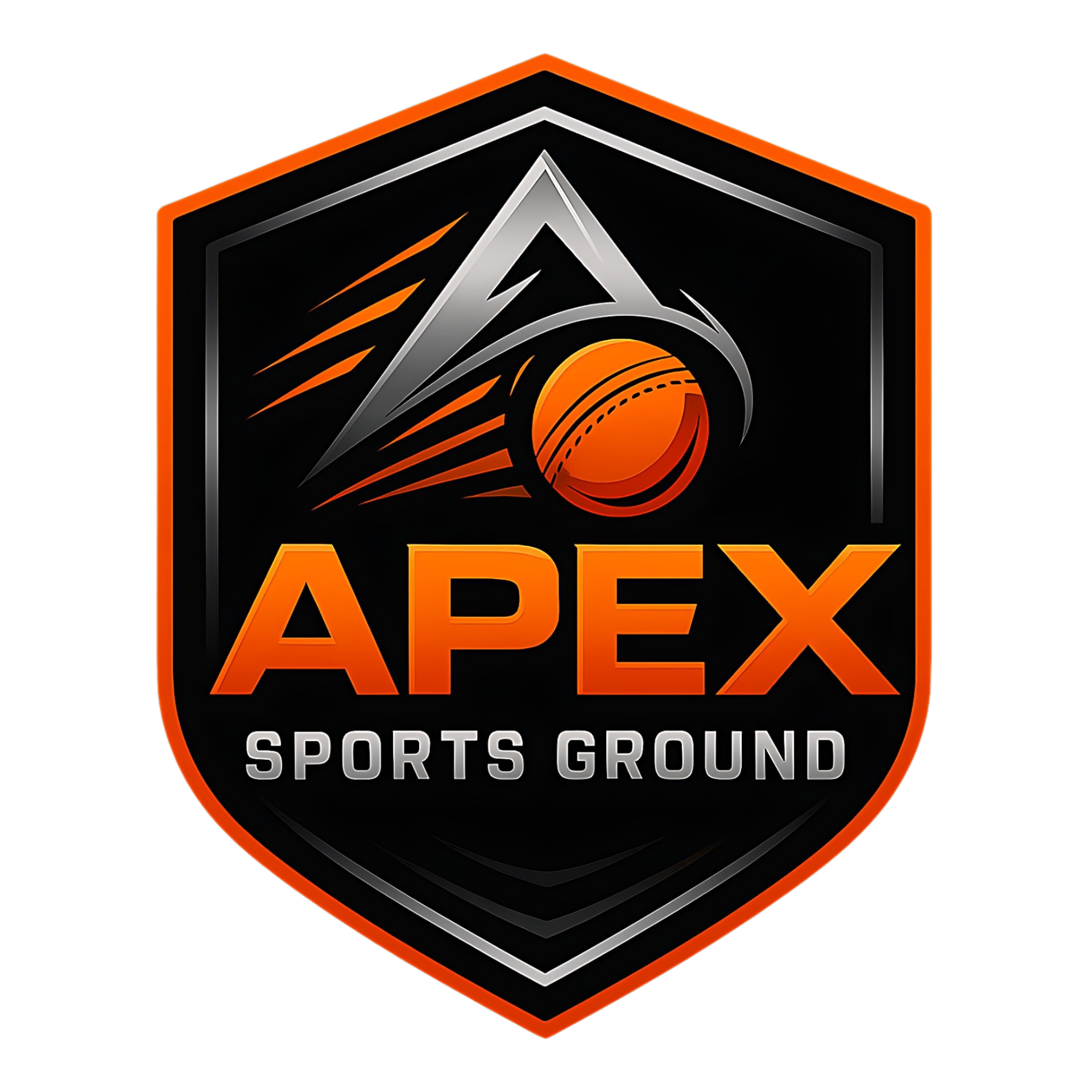 Apex Sports Ground | Best Cricket Ground in Hapur